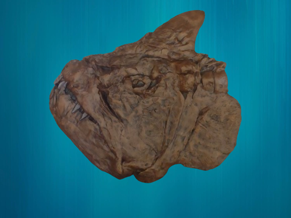 Xiphactinus fossil fish cast replica #1 panel – TaylorMadeFossils.com ...