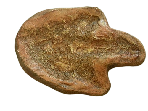 Eubrontes Dinosaur footprint track cast replica – TaylorMadeFossils.com ...