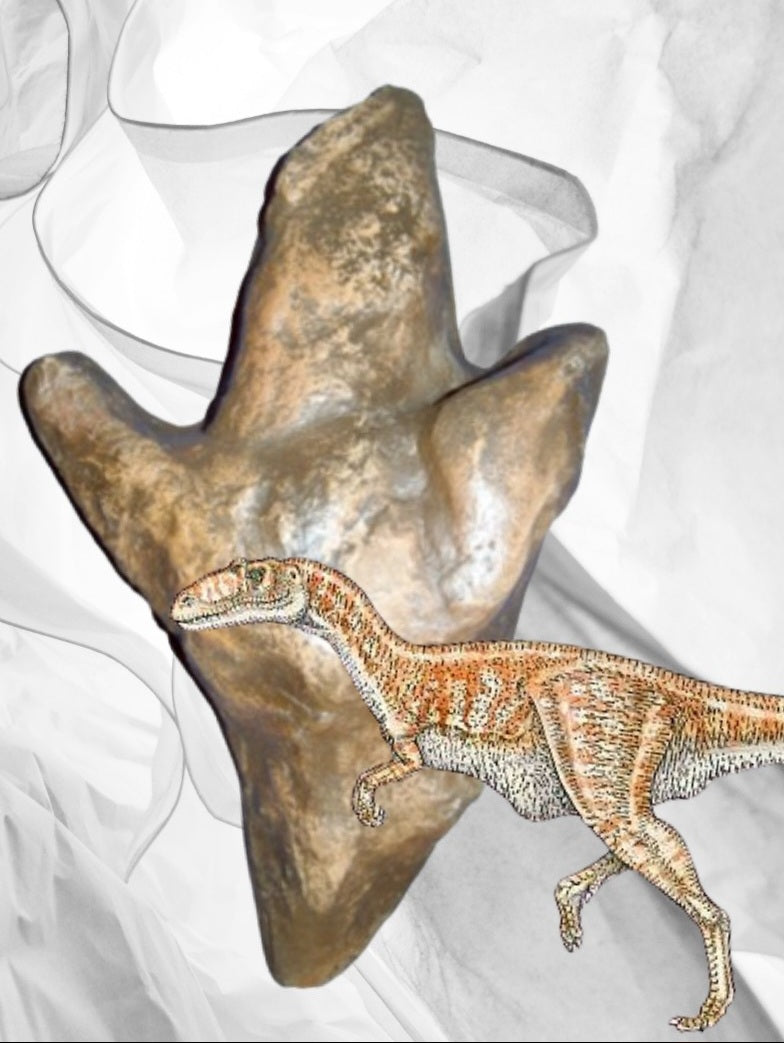 Carnosaur Dinosaur Track or Footprint Dinosaur track cast replica ...