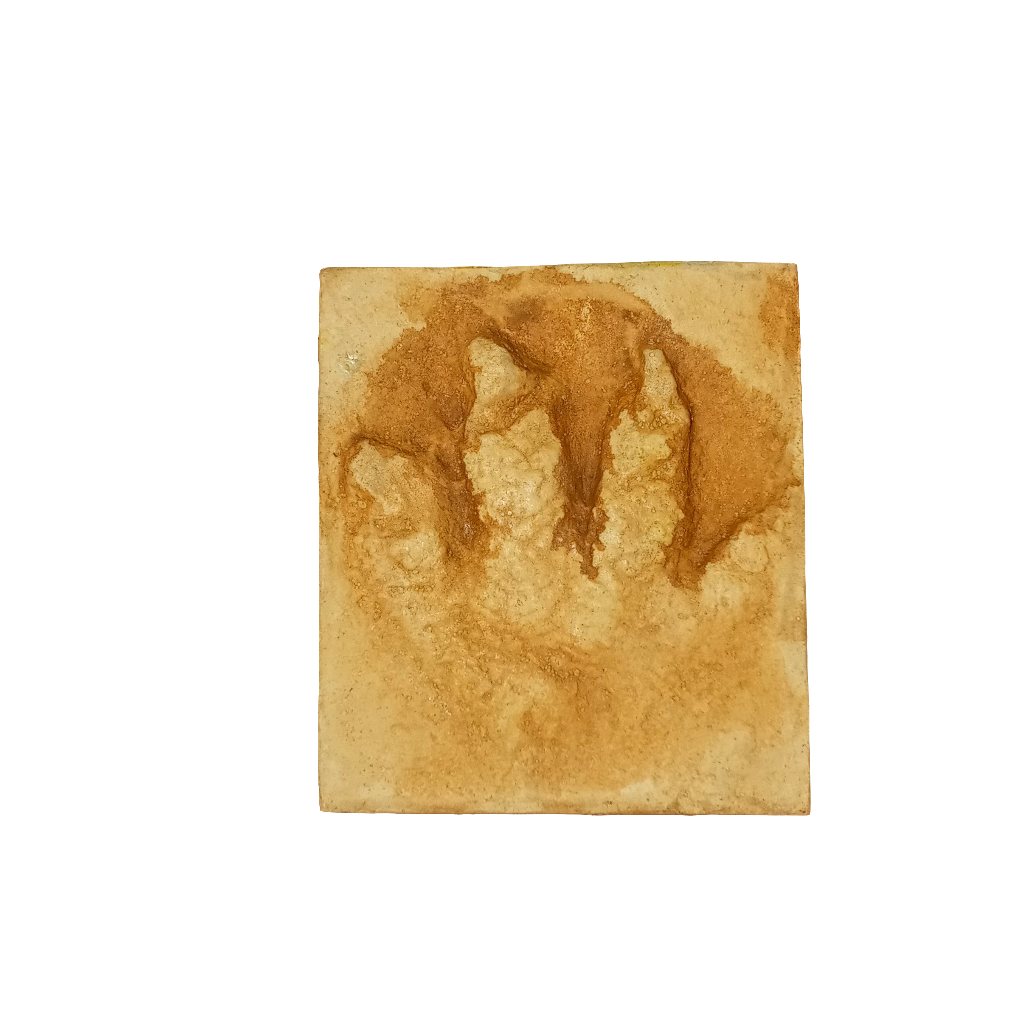 Chirotherium footprint track cast replica foot impression ...