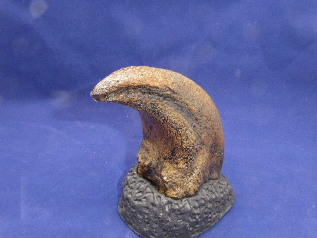 T.rex Claw 6.2" Tyrannosaurus Rex T.rex Fossil Claw cast replica for s ...