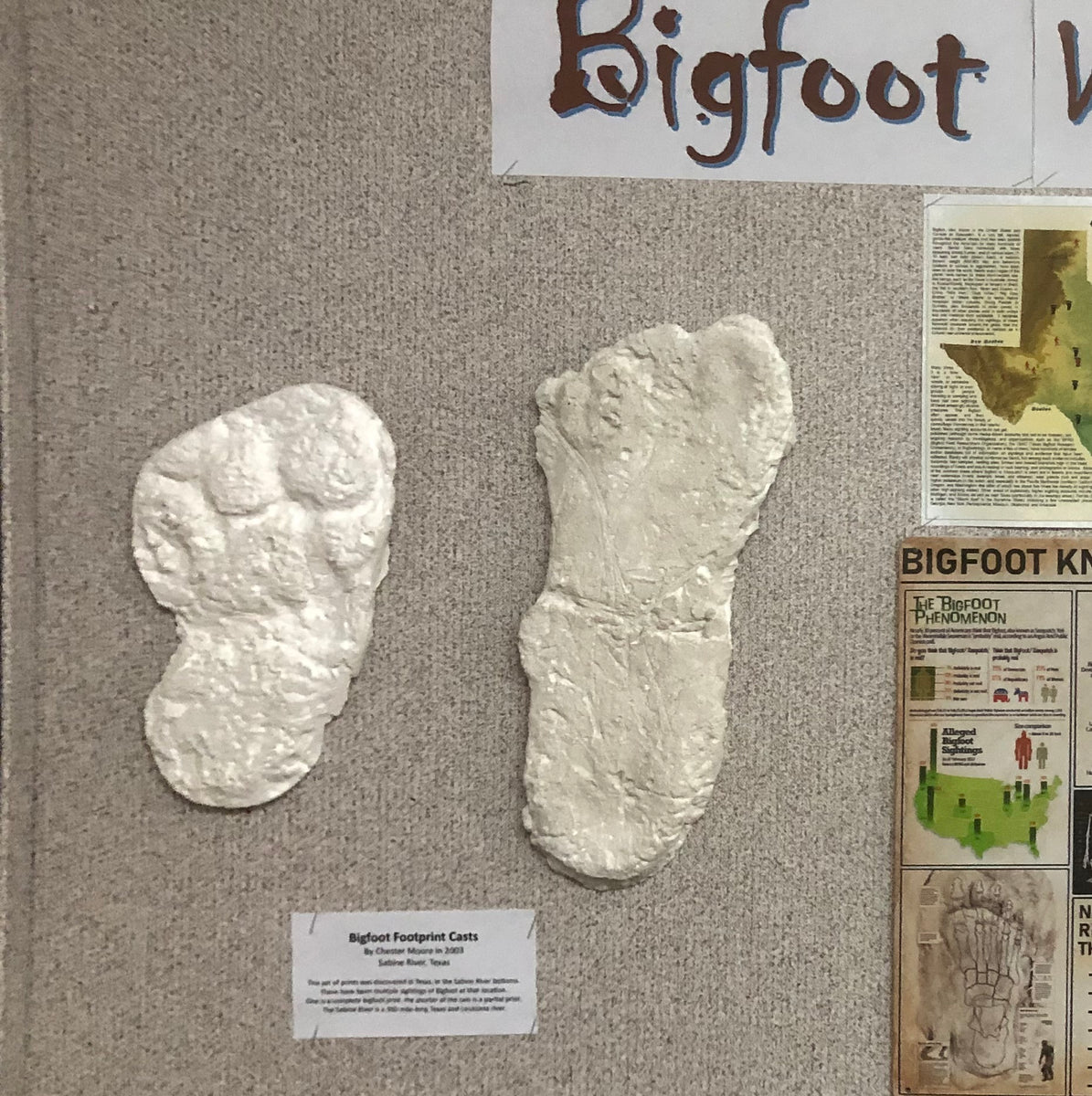 2003 Bayou Bigfoot Sabine River, Texas Bigfoot print casts set of 2 tr ...