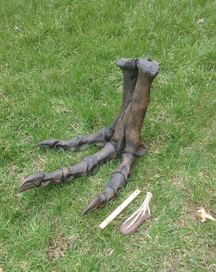 Tyrannosaurus Rex T.rex foot cast replica T-rex – BigfootCasts.com