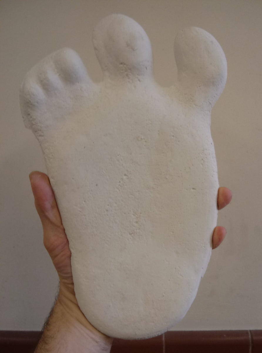 1951 Yeti #3 Bigfoot cast footprint track replica – TaylorMadeFossils ...