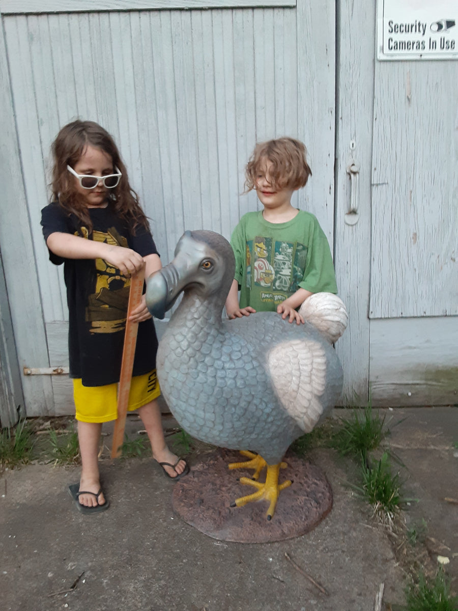 Dodo Bird Lifesize sculpture statue – TaylorMadeFossils.com and ...
