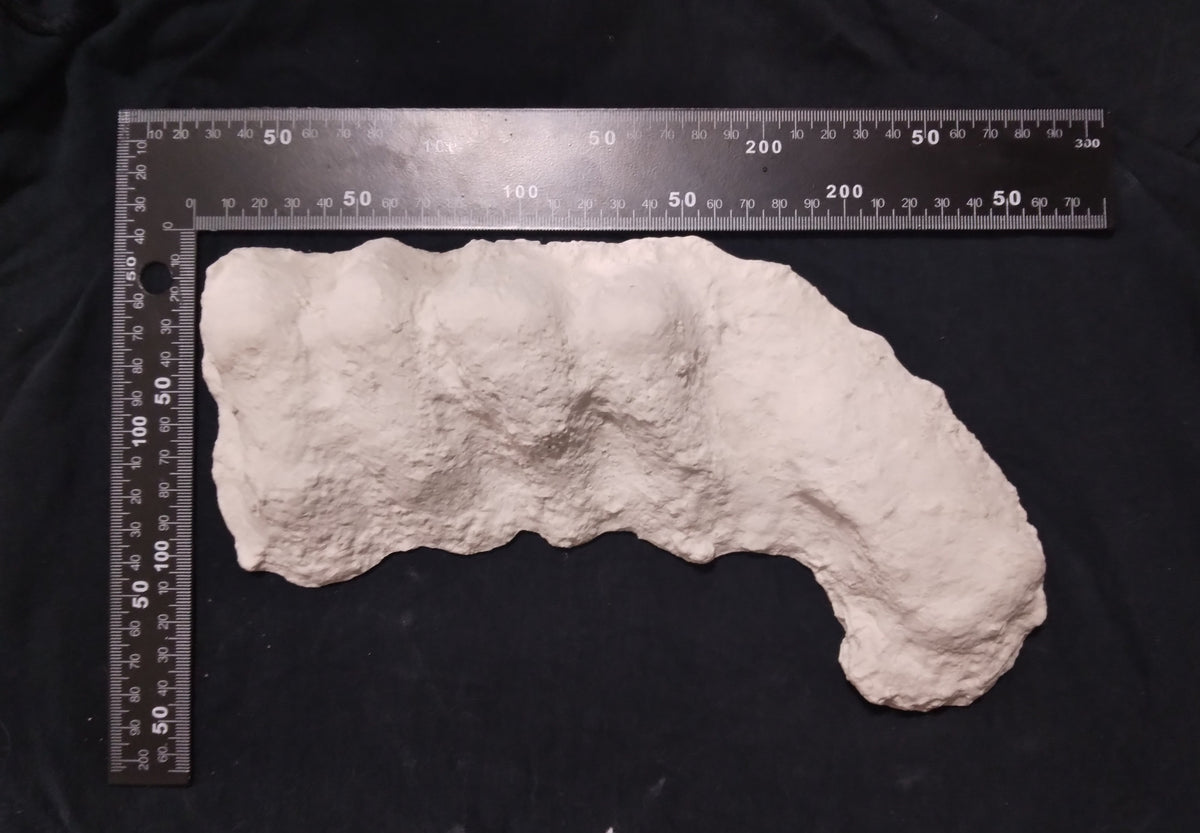 1982 Bigfoot / Sasquatch knuckle print cast replica – BigfootCasts.com