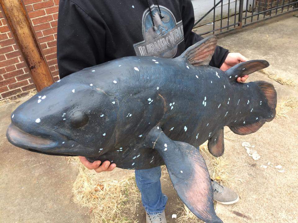 Coelacanth UNFINISHED cast life cast replica Latimeria – BigfootCasts.com