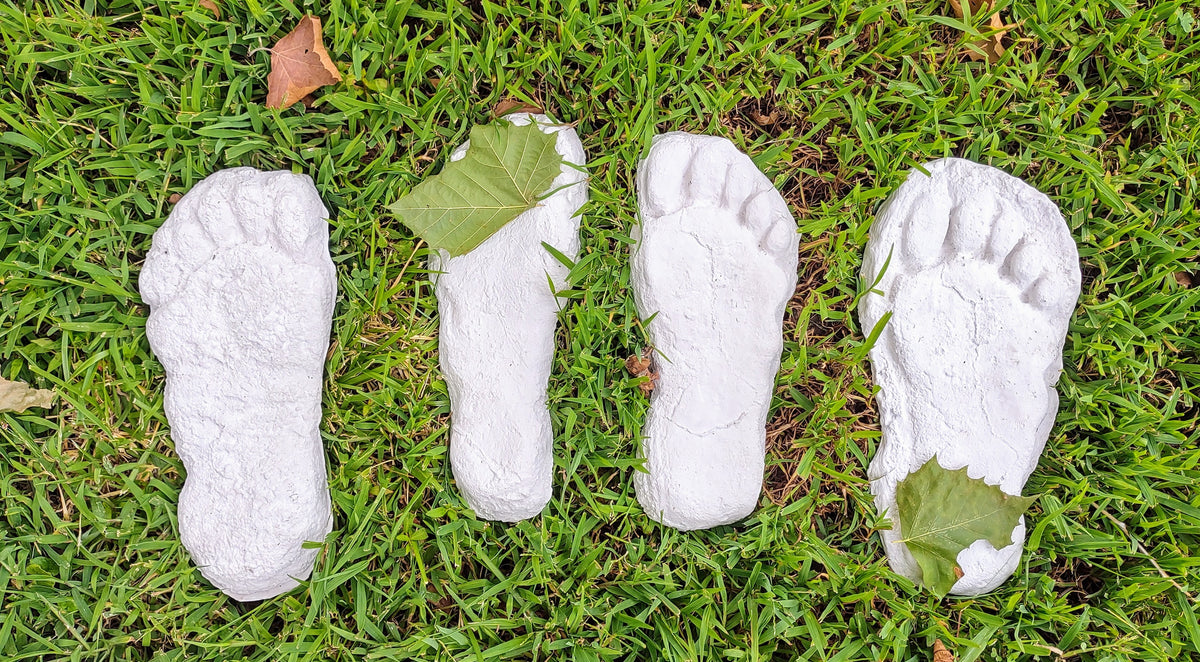 1982 Set of 5 Grays Harbor Hereford Bigfoot print casts replicas ...