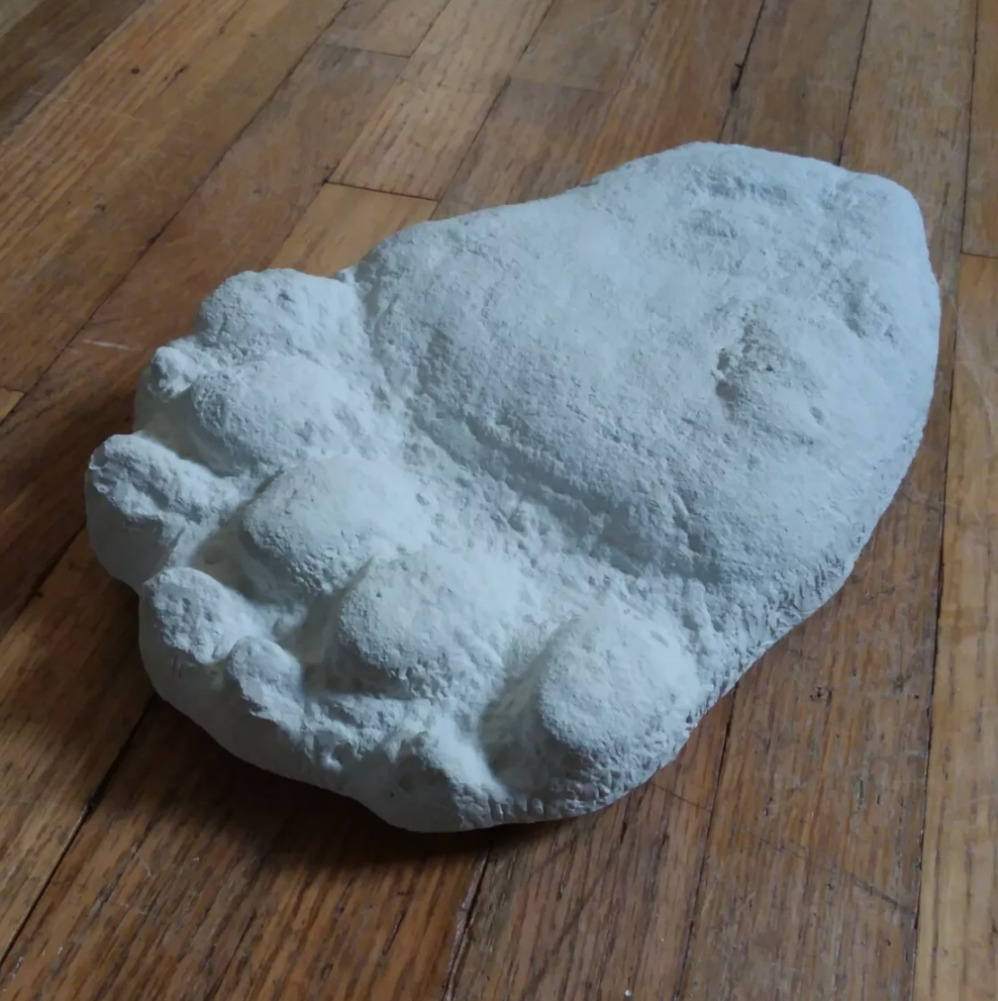 Bear: Footprint Adult Black Bear footprint cast replica – BigfootCasts.com