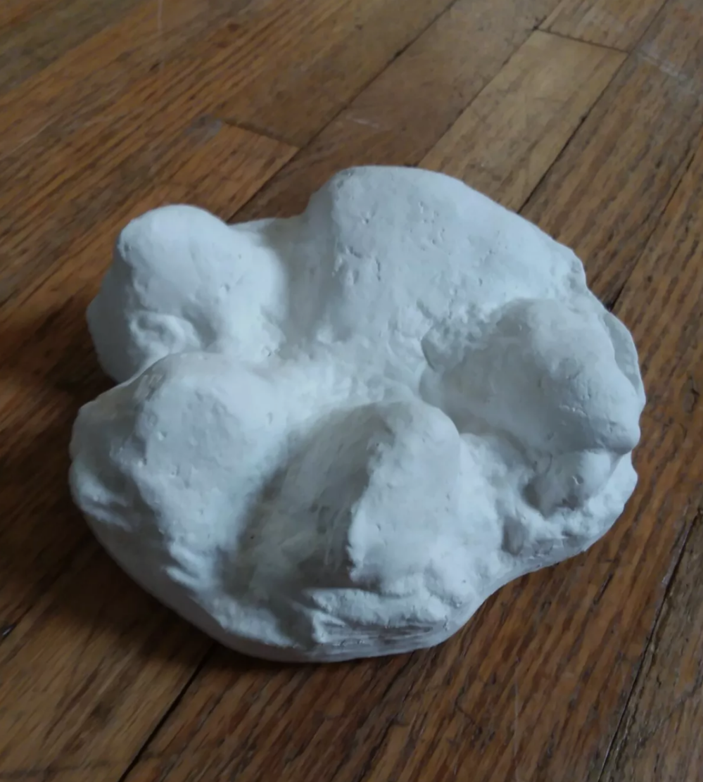 Wolf footprint cast replica – BigfootCasts.com