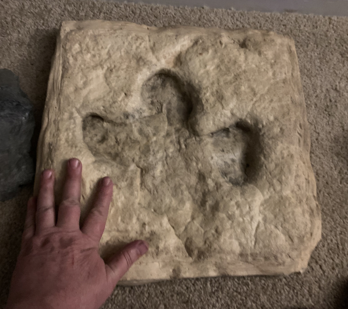 Iguanodon Dinosaur footprint track cast replica #1 TMF – BigfootCasts.com