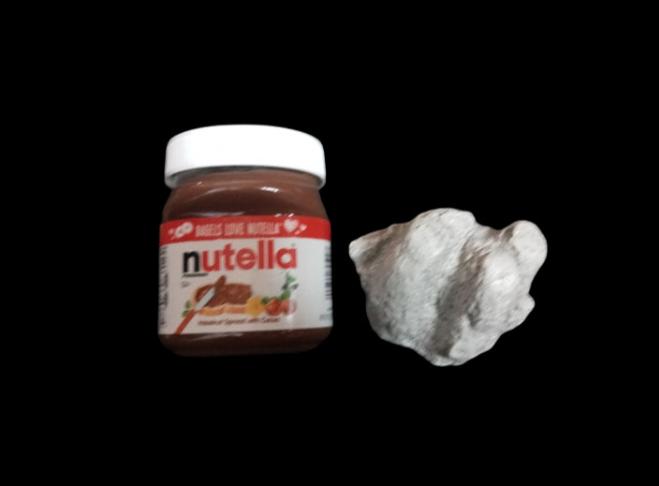 Bigfoot Nutella Cast Fingers – TaylorMadeFossils.com and BigfootCasts.com