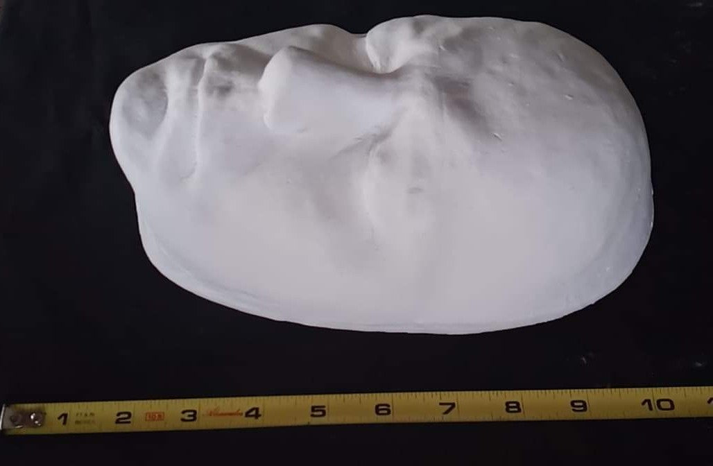 William Shatner Star Trek Captain Kirk Cast Mask Life cast Life mask ...