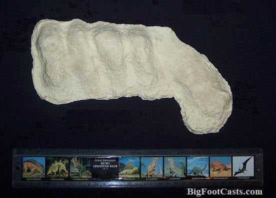 1982 Bigfoot / Sasquatch knuckle print cast replica – BigfootCasts.com