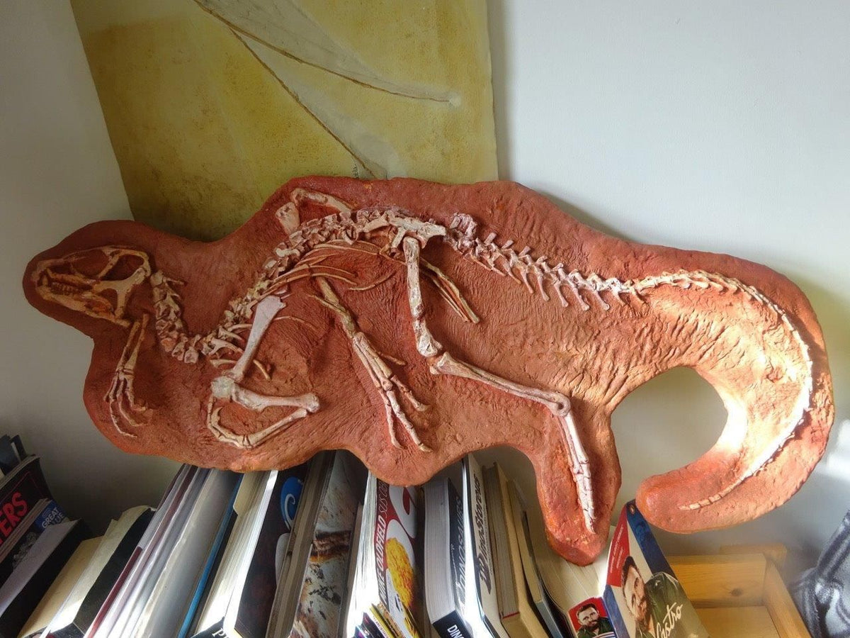 xxx Dinosaur skull cast replica – BigfootCasts.com