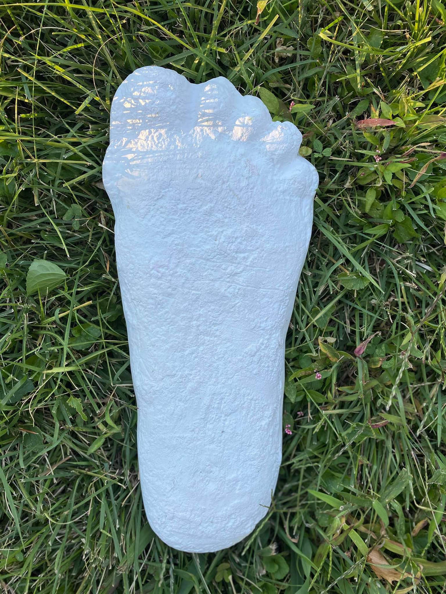 1 Bigfoot Patterson "Patty" track footprint cast Plaster Bigfoot Cast ...