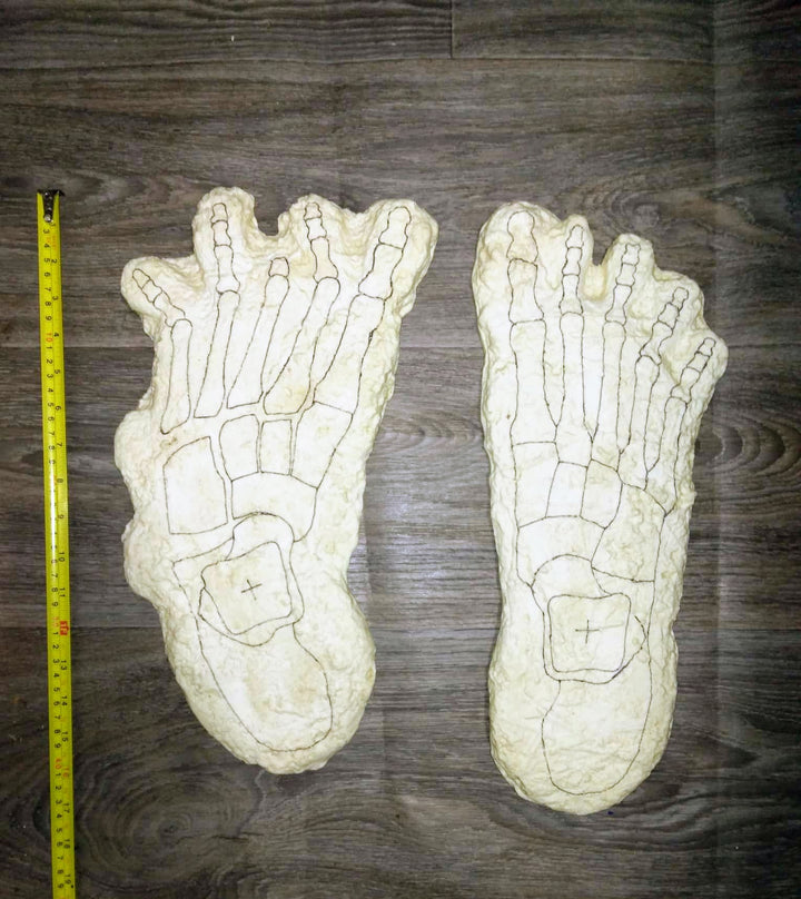 1969 Bigfoot "Cripple Foot" cast B – TaylorMadeFossils.com and ...