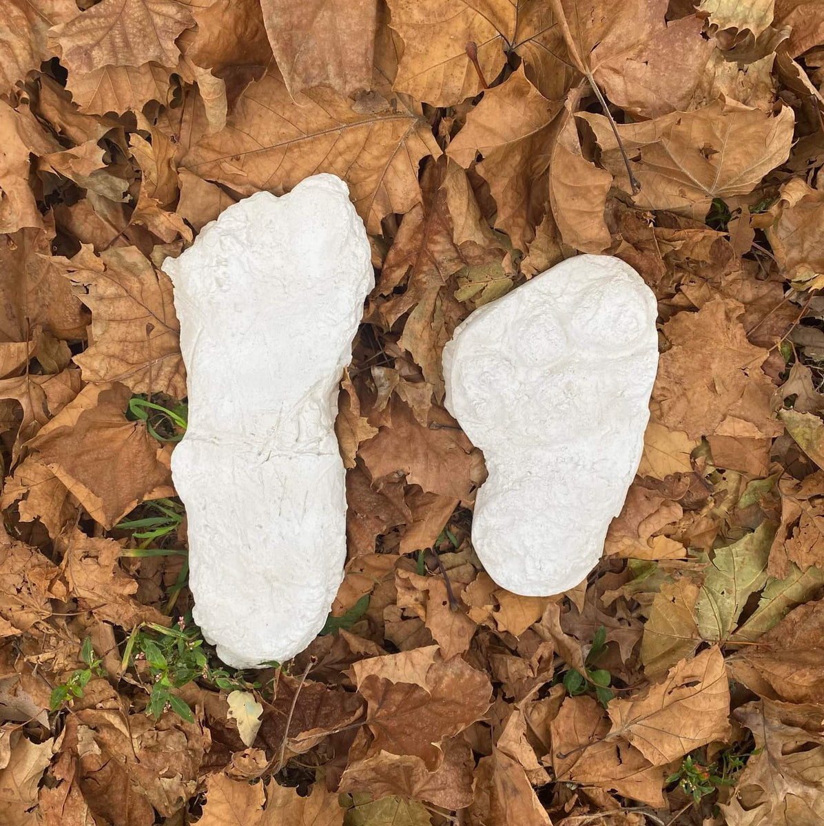 2003 Bayou Bigfoot Sabine River, Texas Bigfoot print casts set of 2 tr ...