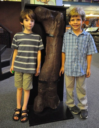 T.rex femur cast replica #3 Hank the T-Rex – BigfootCasts.com